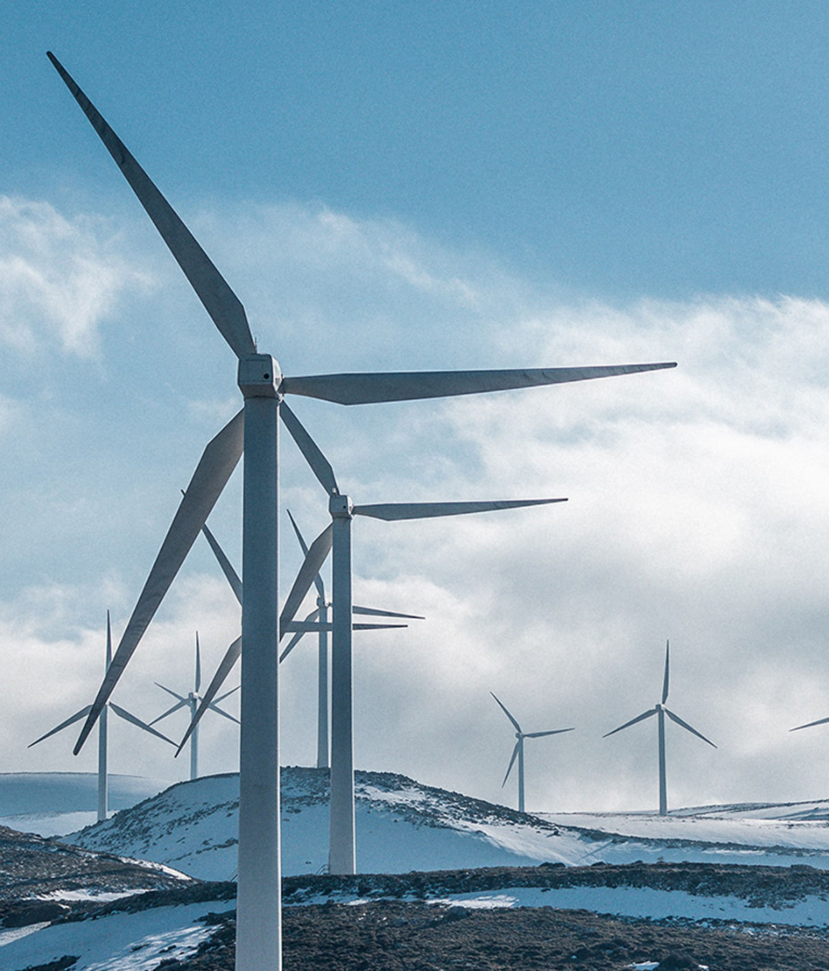 Green transition: sowing the seeds of innovation